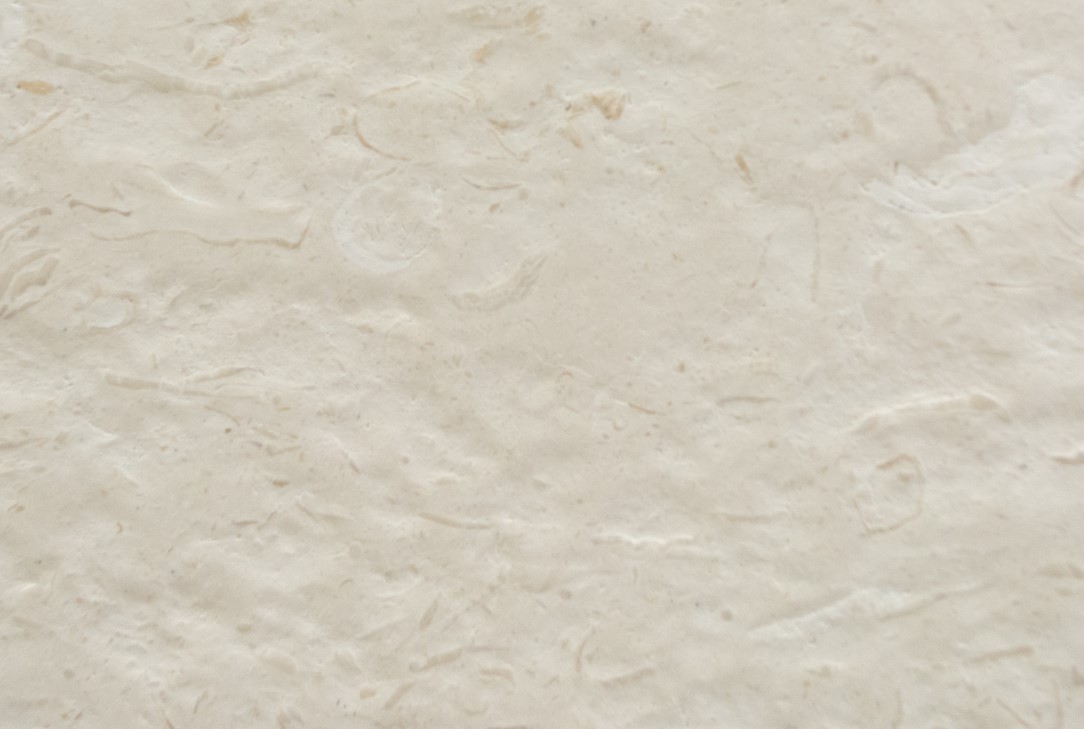 Fossilized Limestone (leathered) | Gregorius Pineo